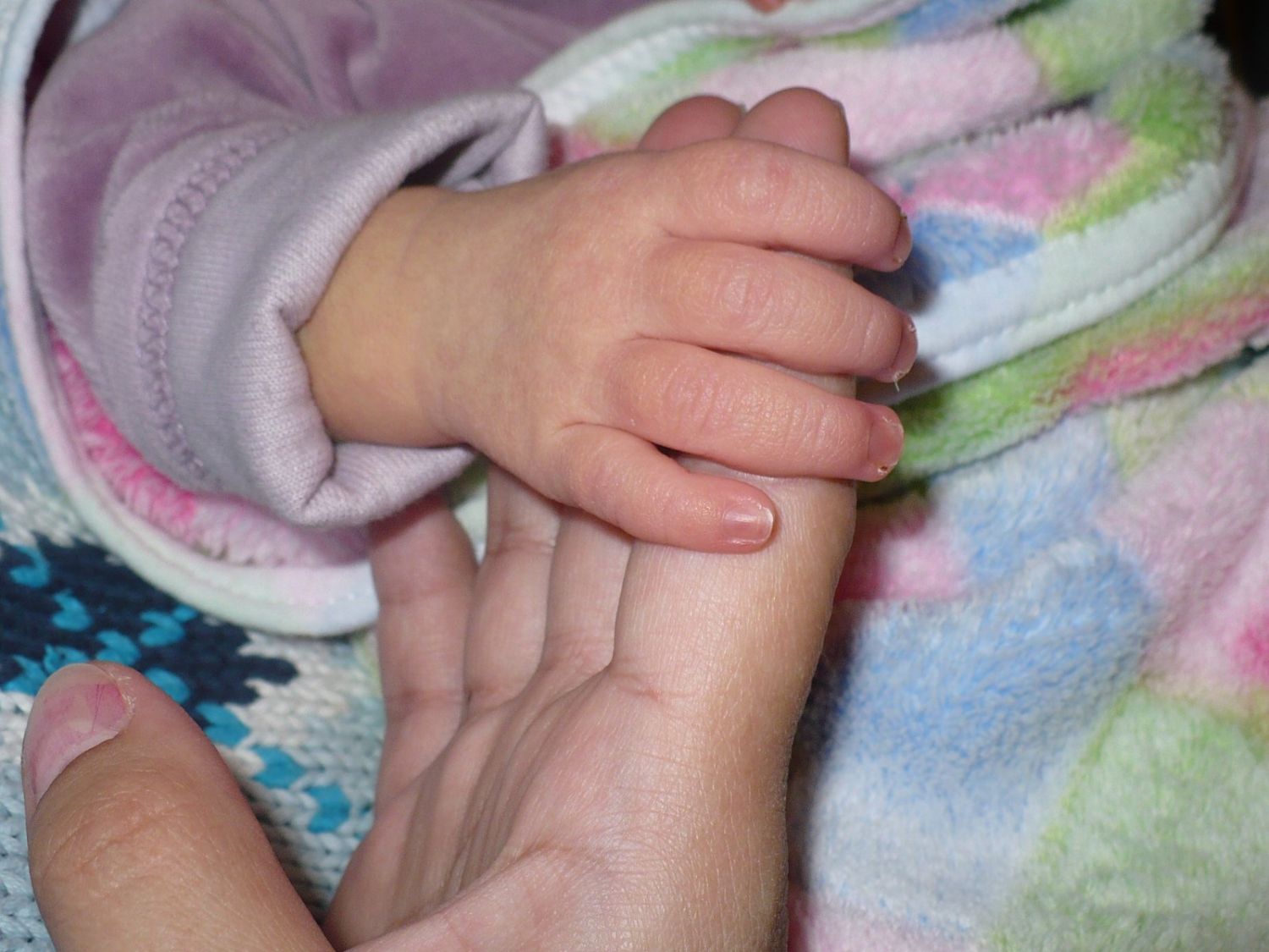 Trei persoane din Olt vor primi, în această lună, atestatele în meseria ...