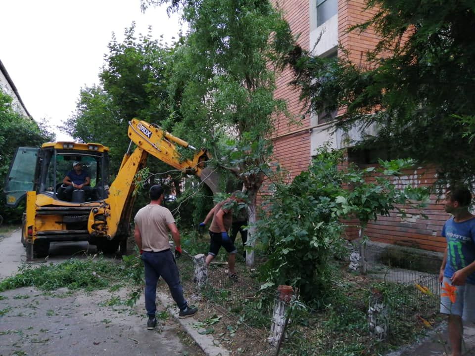 FOTO. O furtună puternică a doborât mai mulţi copaci şi a smuls ...