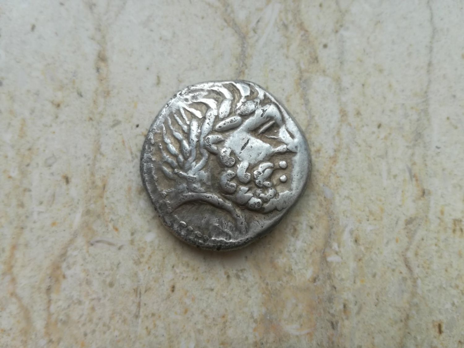 FOTO. Monede antice, găsite într-o pădure din Morunglav. Cercetările ...