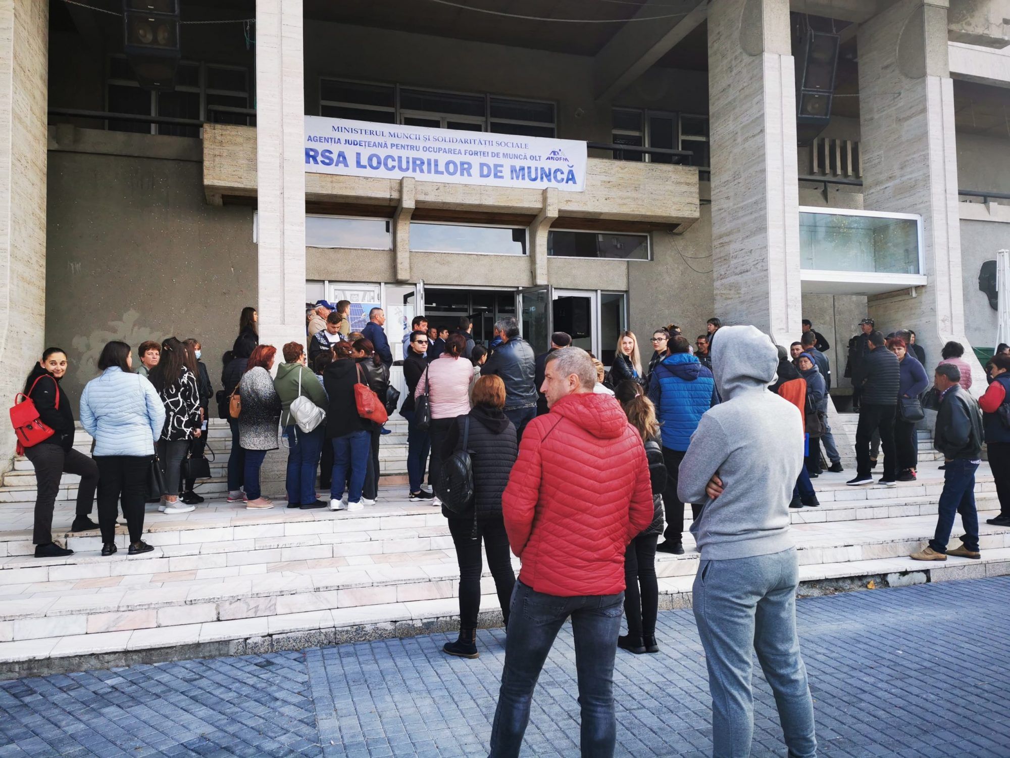 Peste 4000 de persoane s-au angajat, în 2024, prin intermediul AJOFM ...