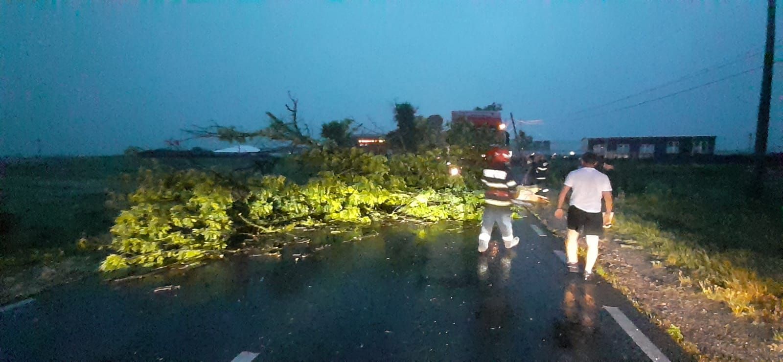 Copaci pe carosabil: Drum naţional blocat, între Olt şi Vâlcea | Gazeta ...