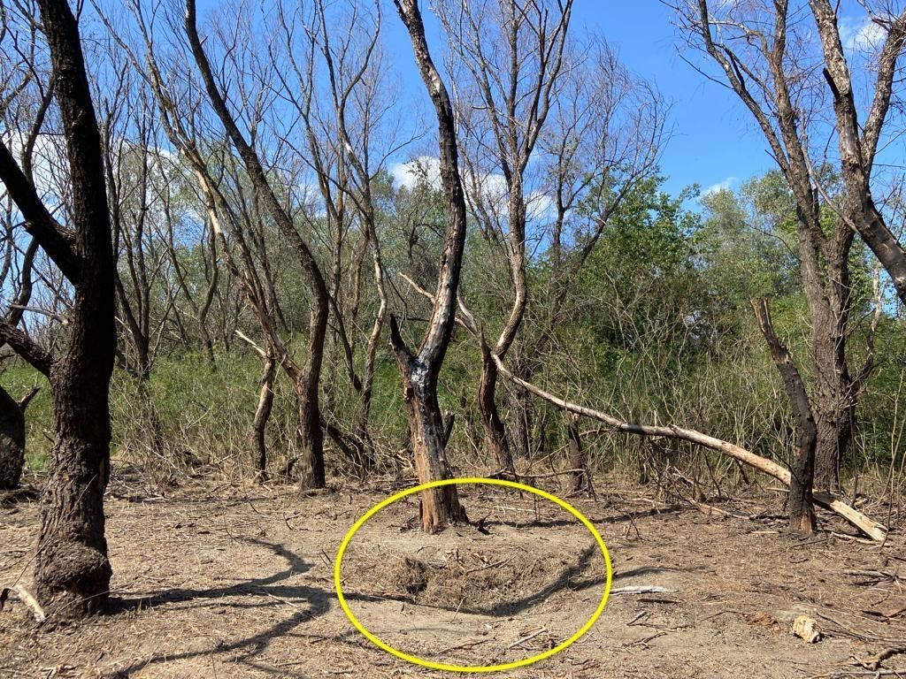 Cazul dronelor ruseşti | De ce a minţit Guvernul? (VIDEO INTERVIU ...