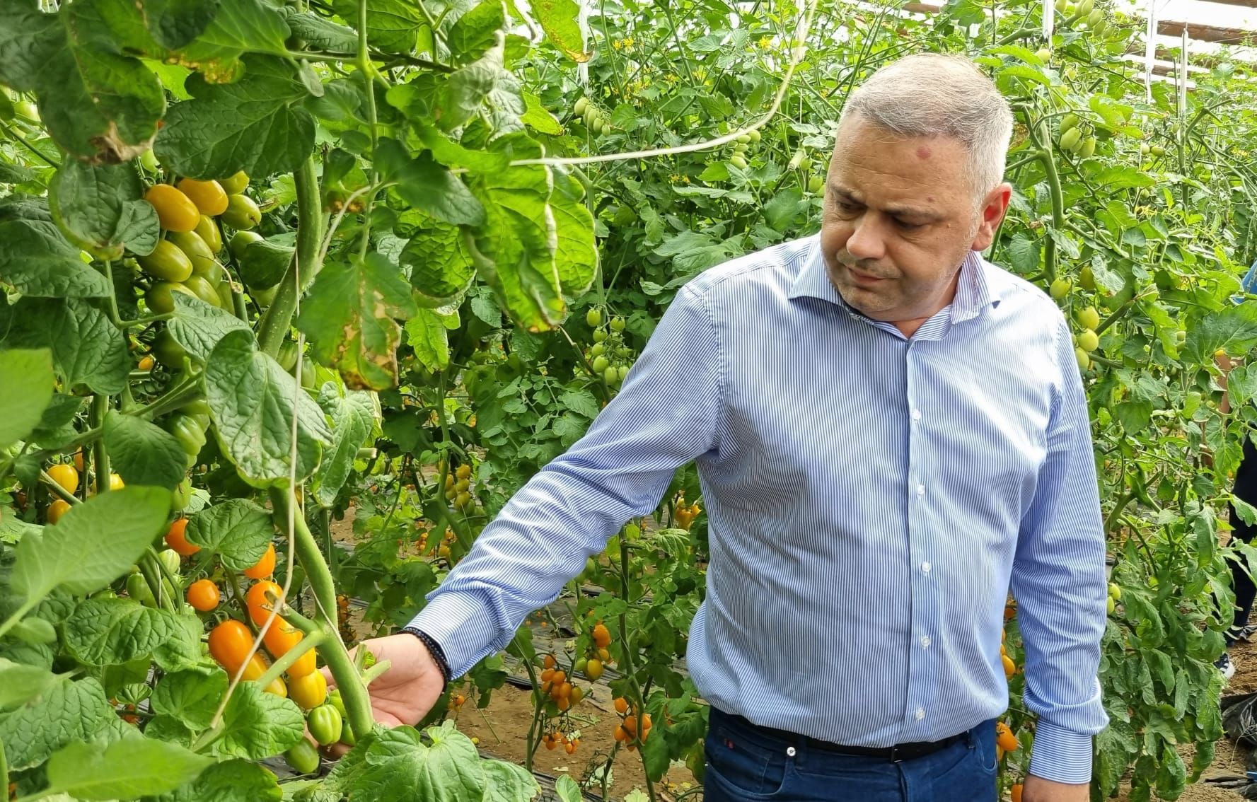 Ministrul Agriculturii Florin Barbu, vizită în bazinul legumicol din ...