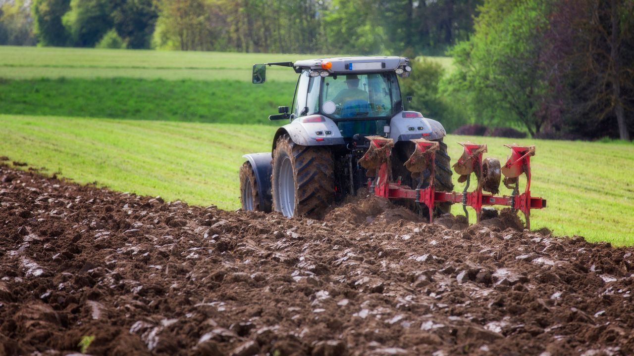 Termenul de depunere a cererilor de plată la APIA, prelungit până la 13 iunie | Gazeta Nouă