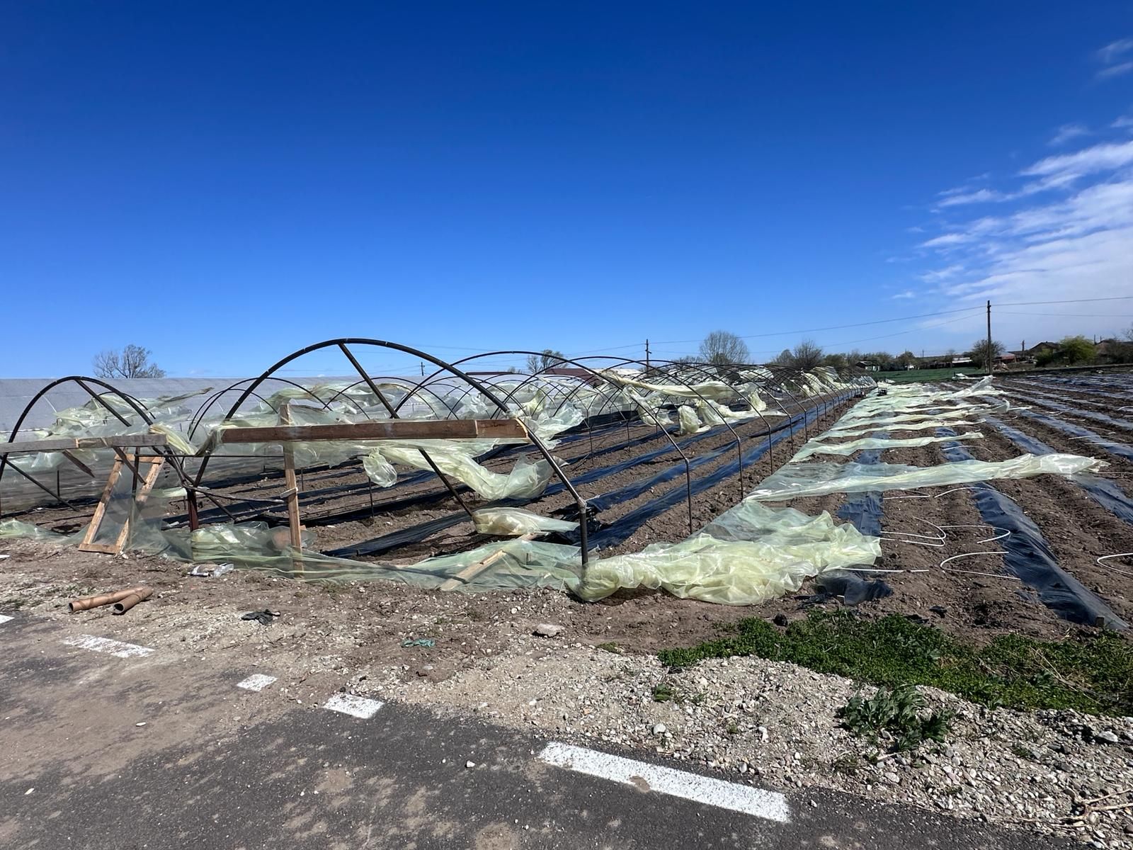 Solariile legumicultorilor din Olt, distruse de vântul puternic (FOTO ...